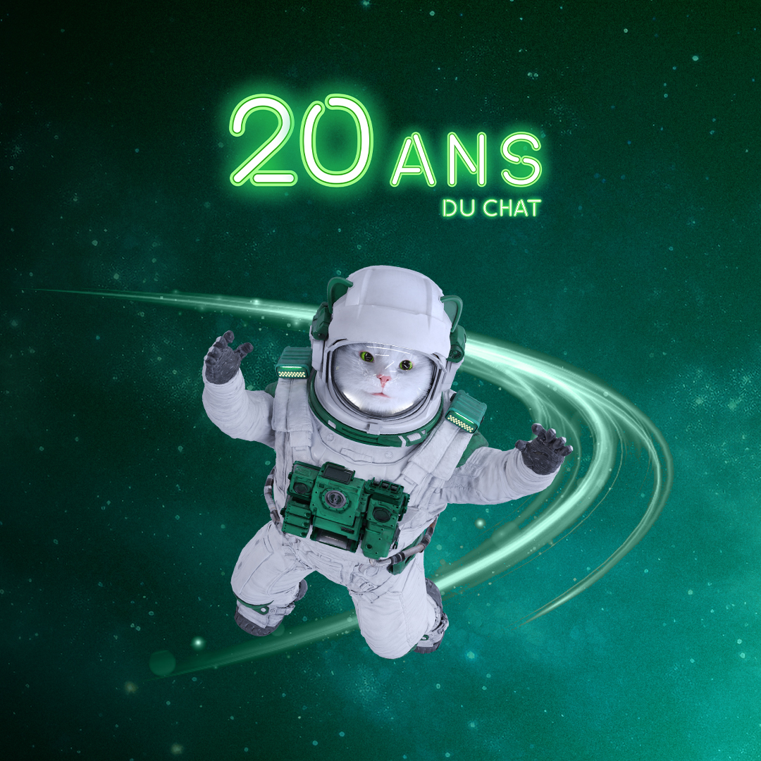 Le chat blanc de Feu Vert fête ses 20 ans : une mascotte devenue icône ...